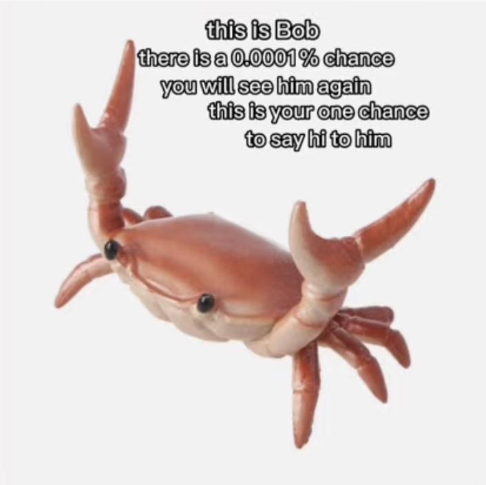 Pop nunnさんの投稿|Lemon8