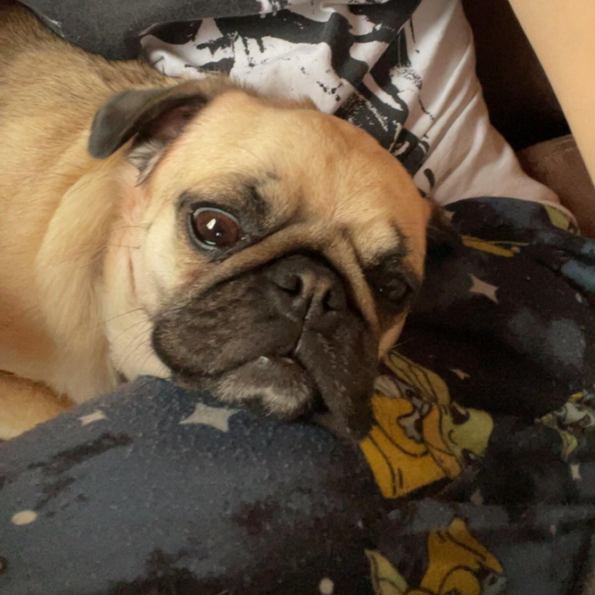 Ethen 's Post|Lemon8