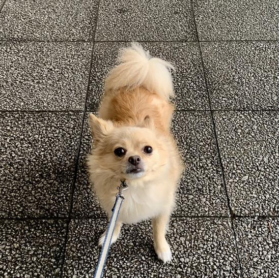 JUN TANABE's Post|Lemon8