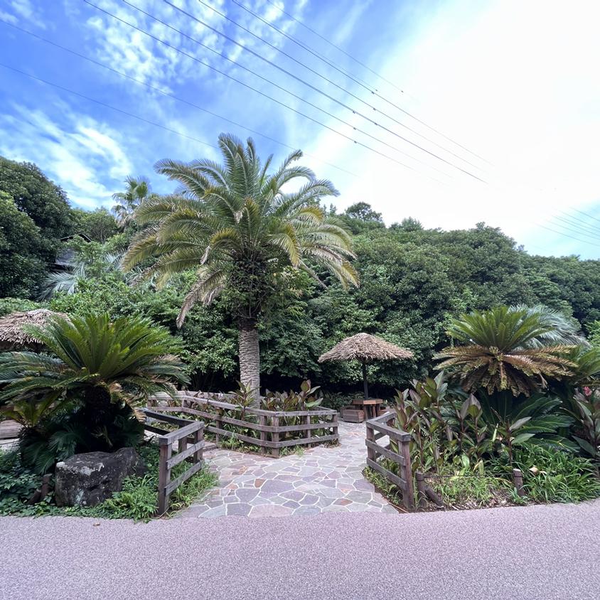 ZHAO WEIさんの投稿|Lemon8