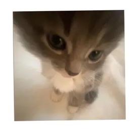 Emi☆'s Post|Lemon8