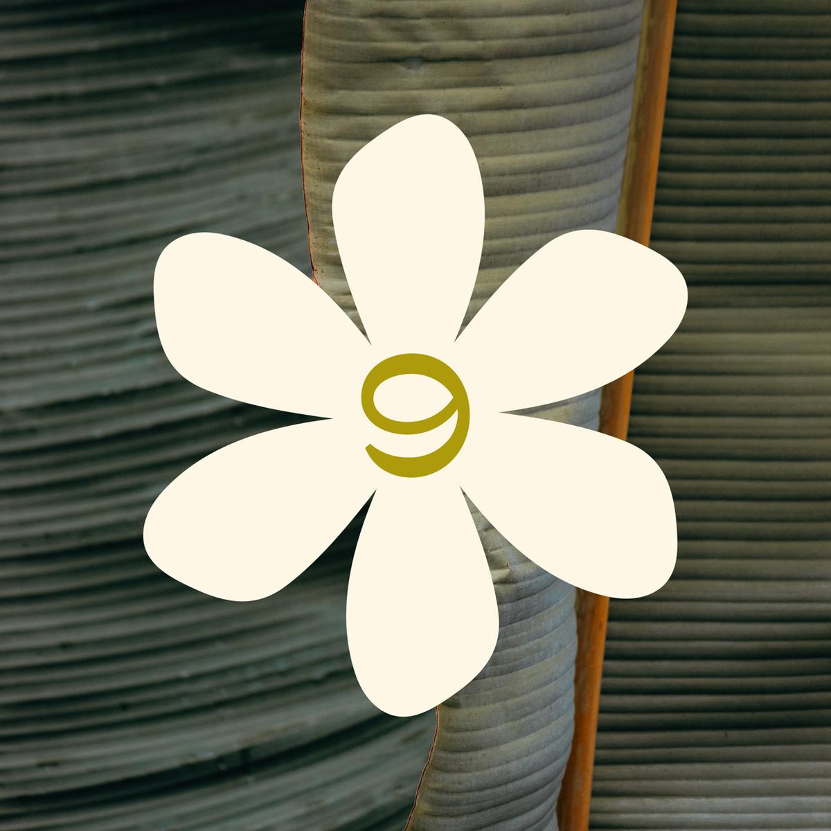 studio.nine.co's Post|Lemon8