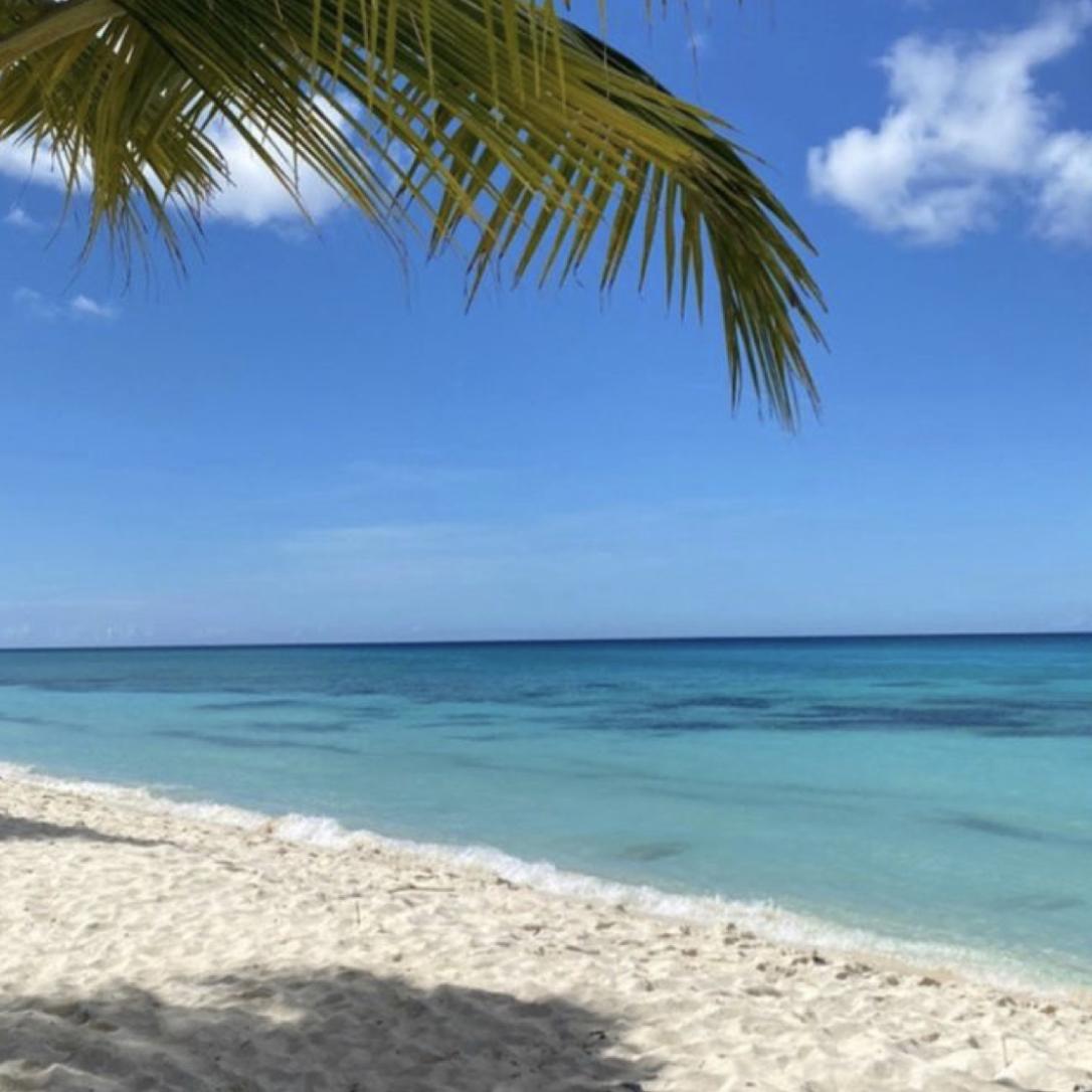 Alison's Post|Lemon8