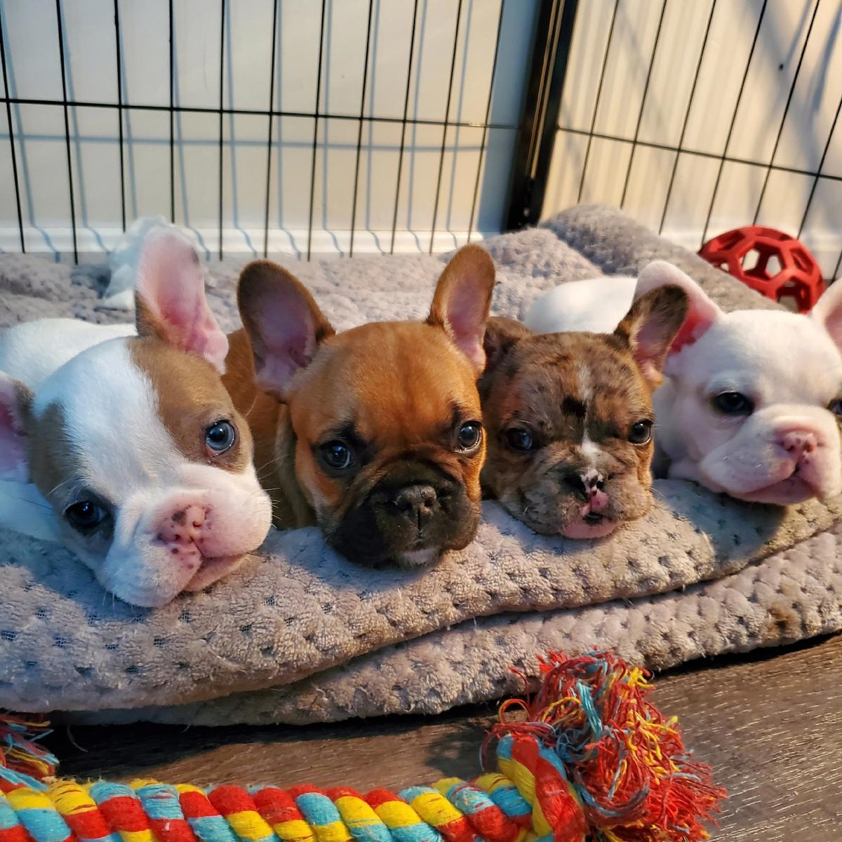 Ralph Nichol's Post|Lemon8