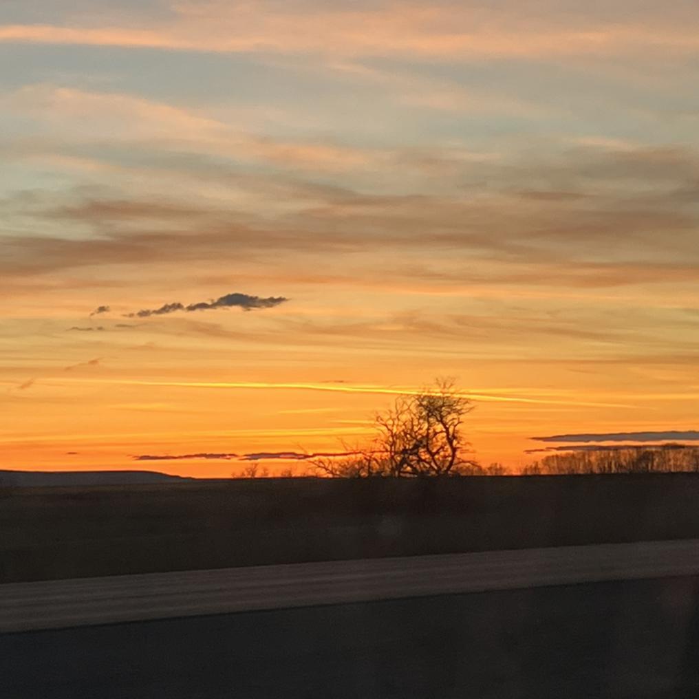 Bailey Touchard's Post|Lemon8