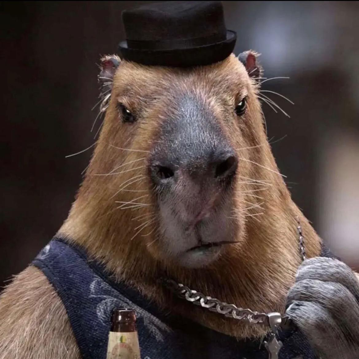 Capybara's Post|Lemon8