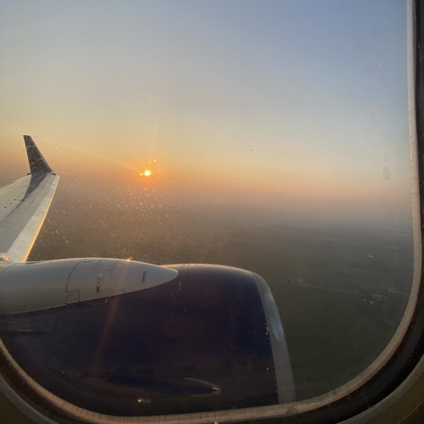 Layla 's Post|Lemon8