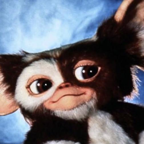 Gorgeous Goat's Post|Lemon8