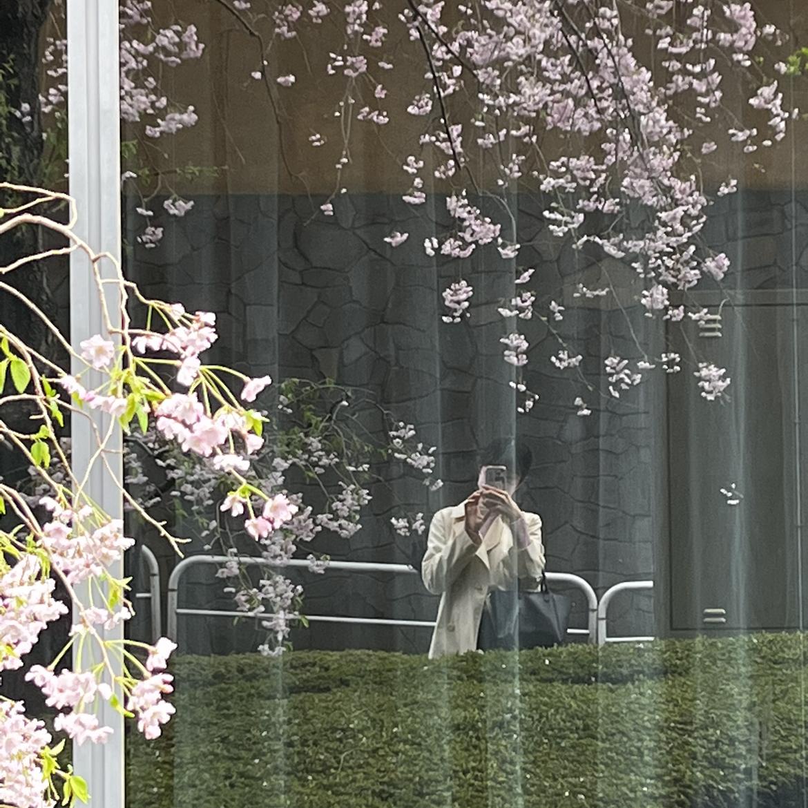 Sakura's Post|Lemon8