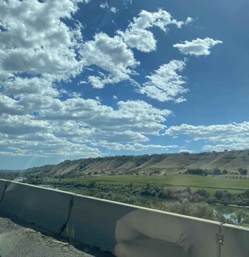 Emaleigh Salaza's Post|Lemon8