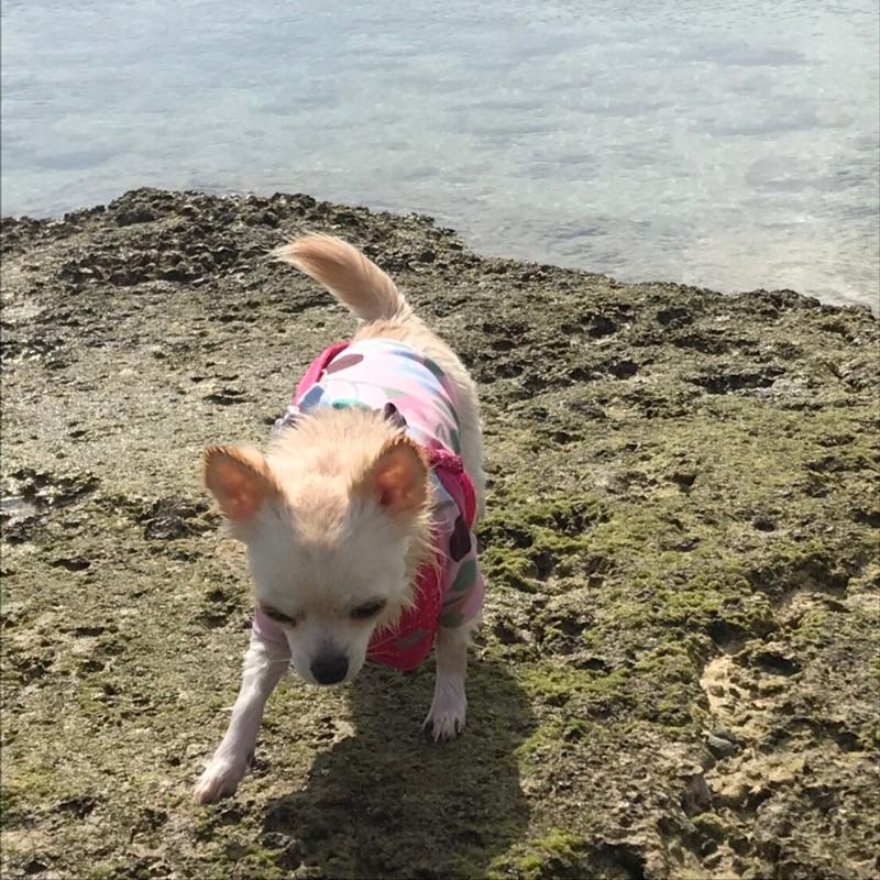 yuko suzuki's Post|Lemon8