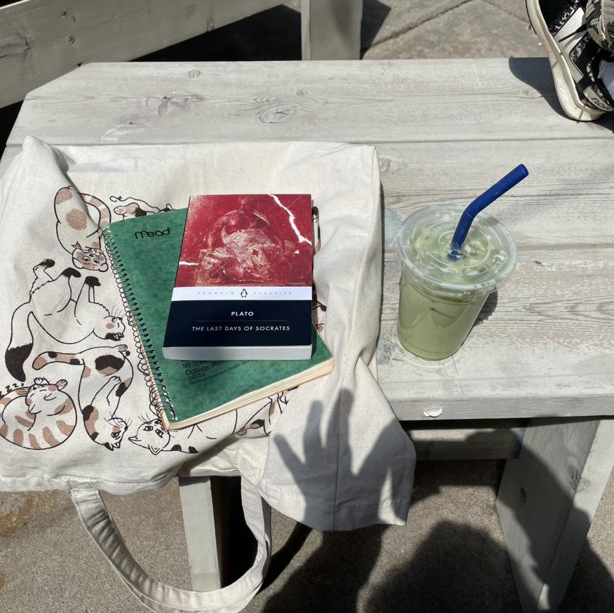 sofia ☆'s Post|Lemon8