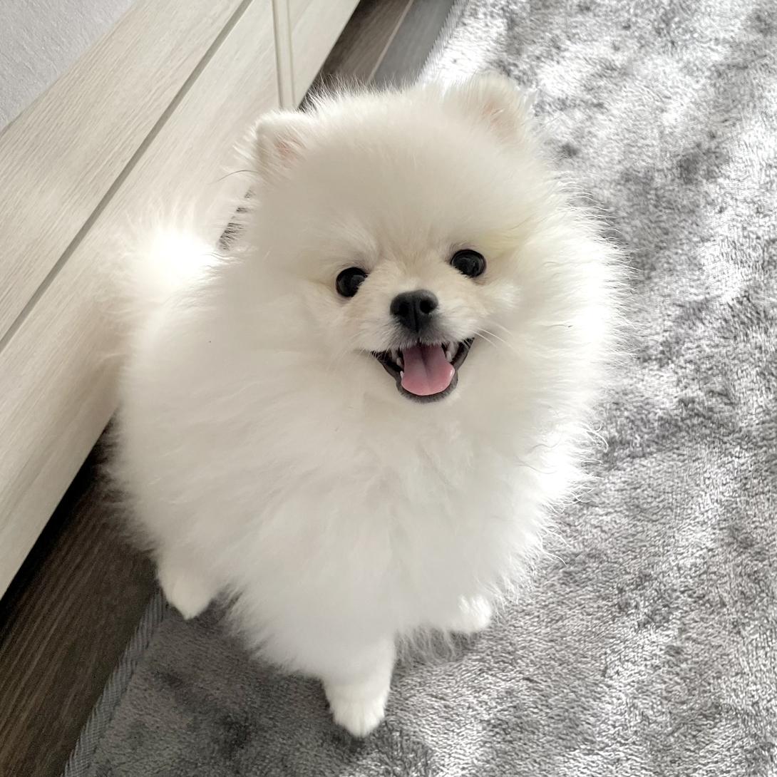 ayamiさんの投稿|Lemon8