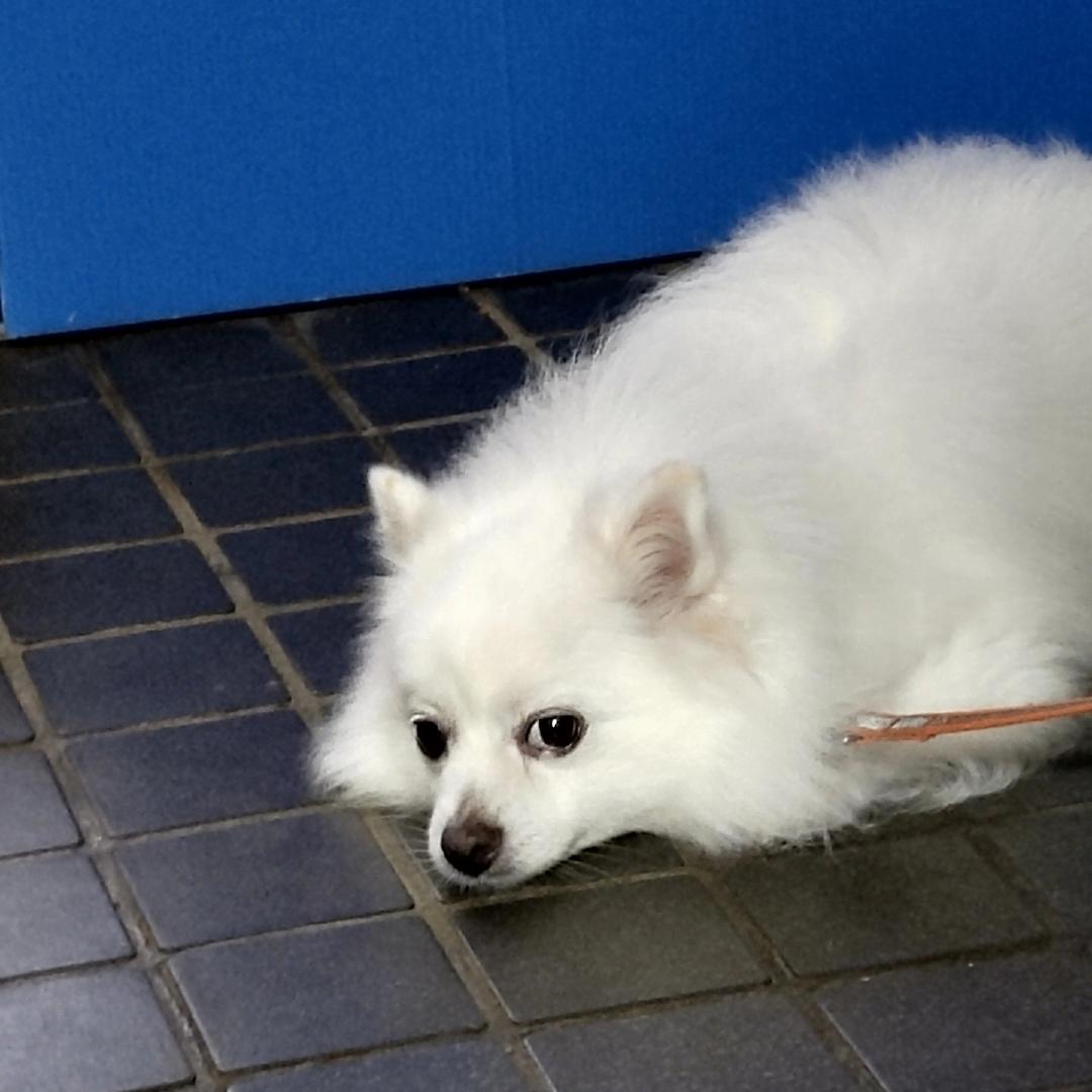 けいちゃん2891's Post|Lemon8