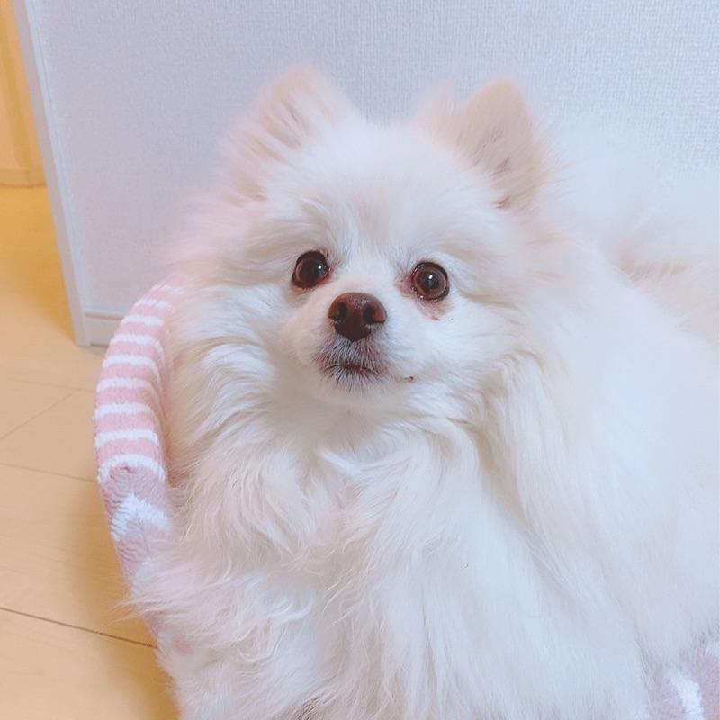 Hazuki's Post|Lemon8