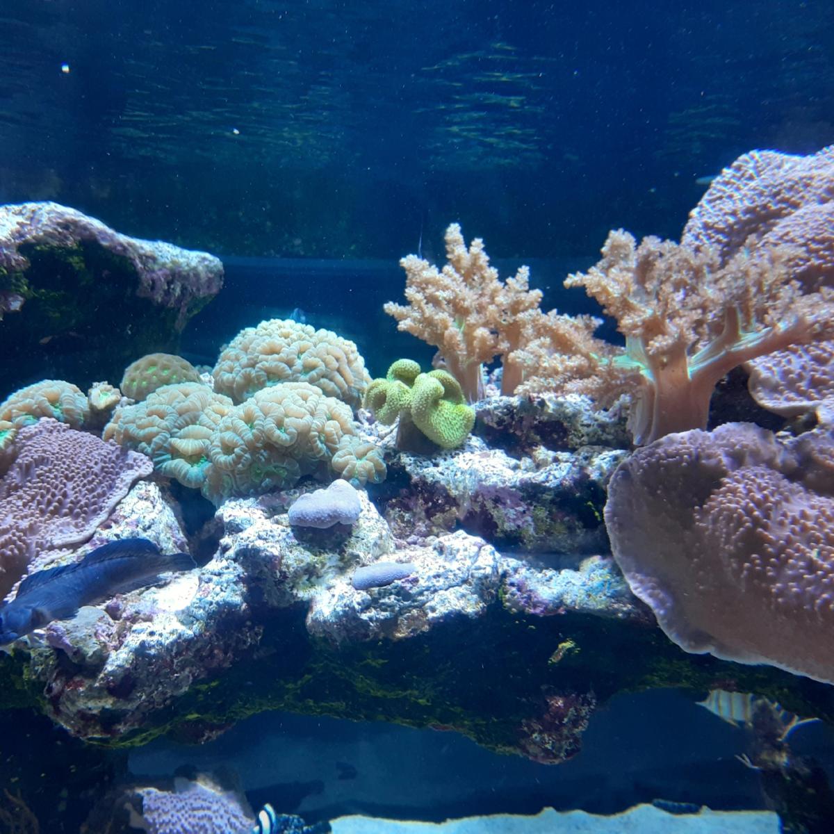 ayano🫧さんの投稿|Lemon8