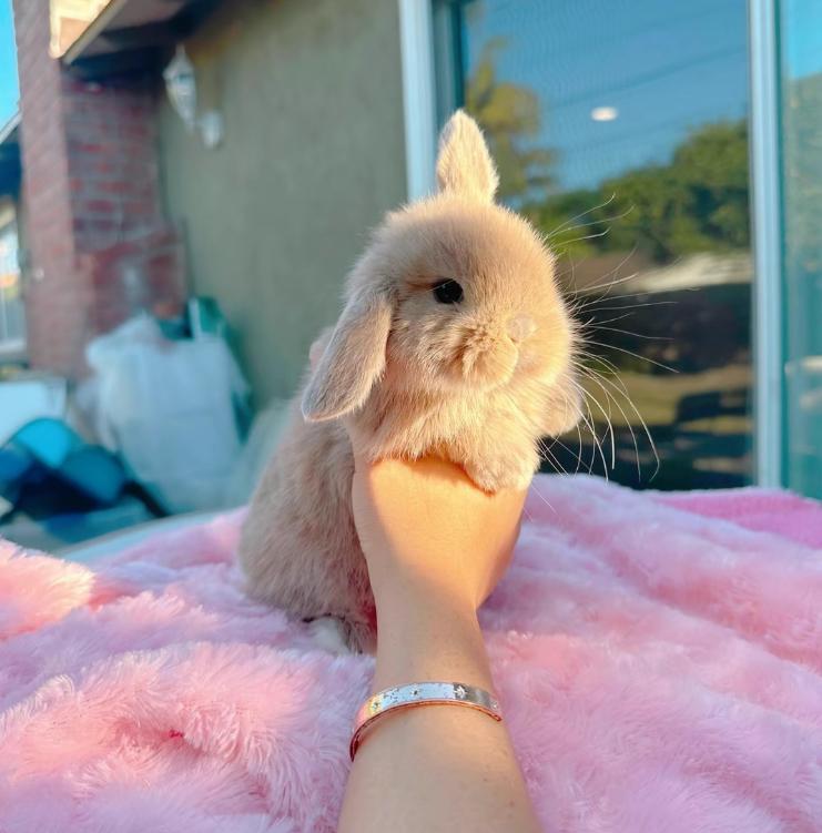 -coco ☾'s Post|Lemon8