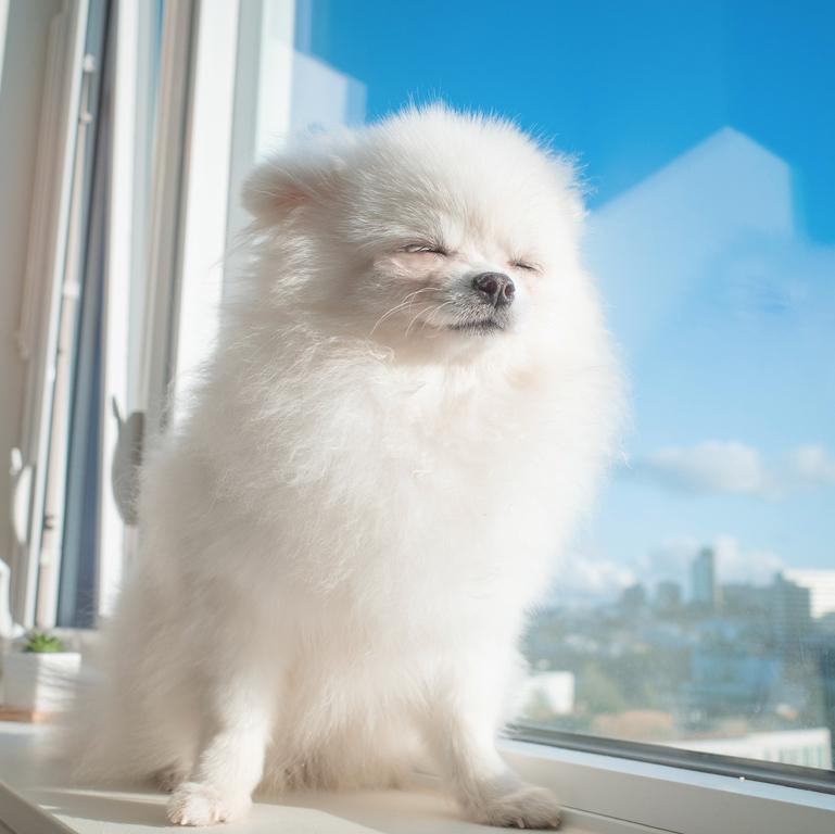 Hotpot_PomPom's Post|Lemon8