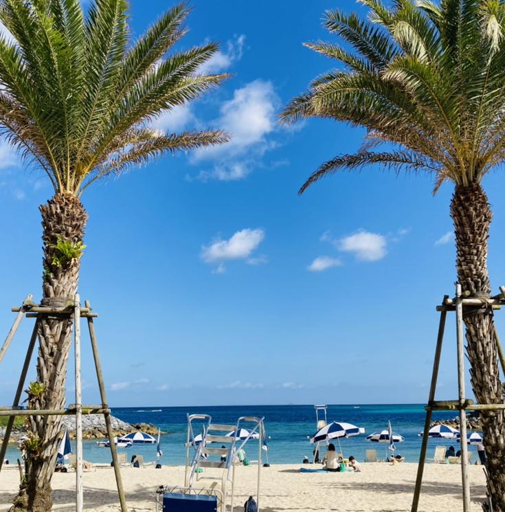 hiro.uhさんの投稿|Lemon8