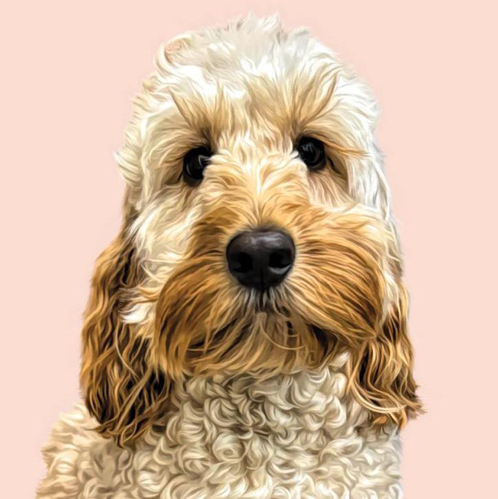 Scout 🎀 's Post|Lemon8