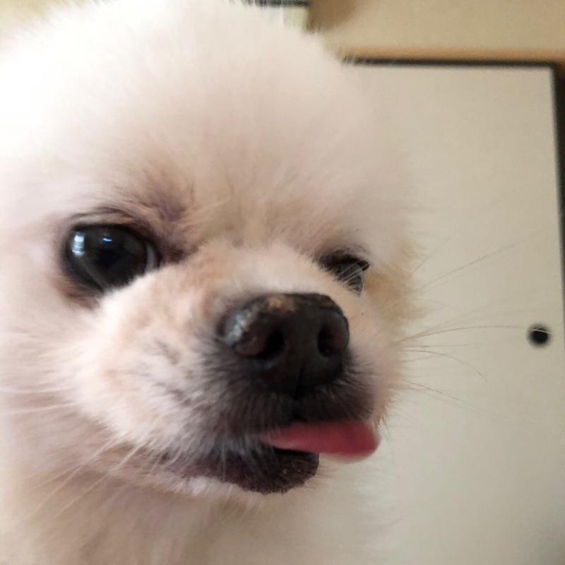 saosaoさんの投稿|Lemon8