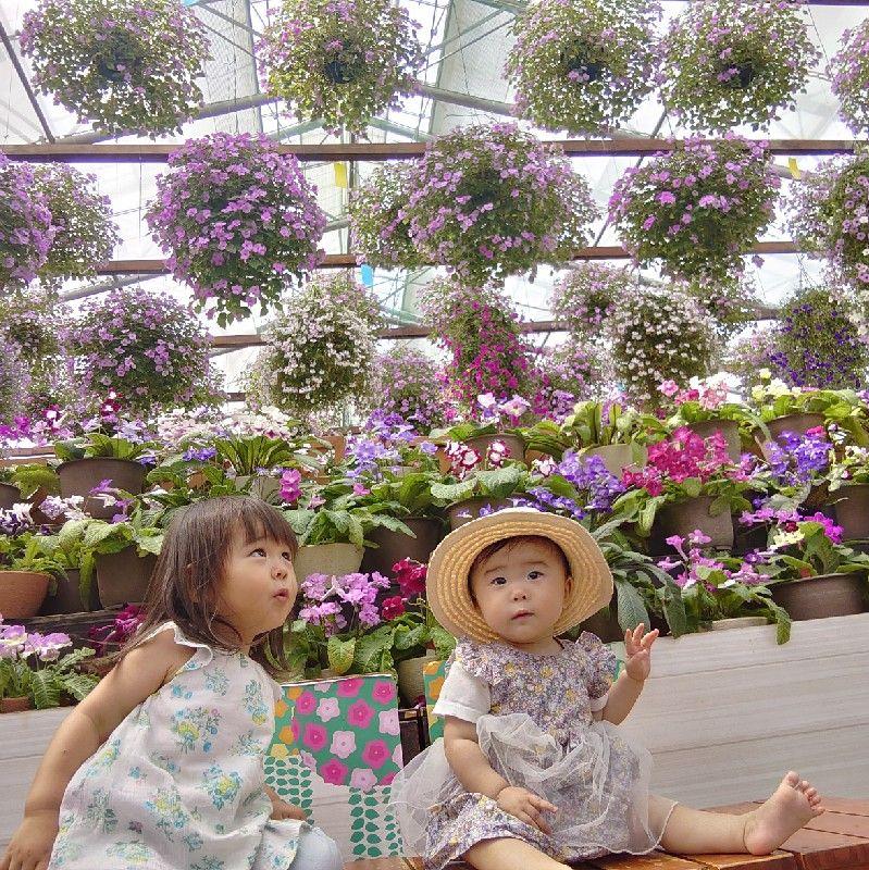 Mariさんの投稿|Lemon8