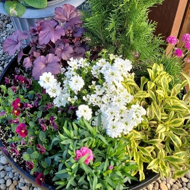 Garden Alley's Post|Lemon8