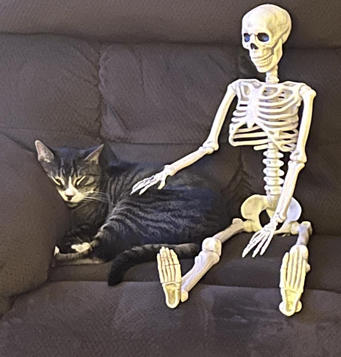 Kym Chausse's Post|Lemon8