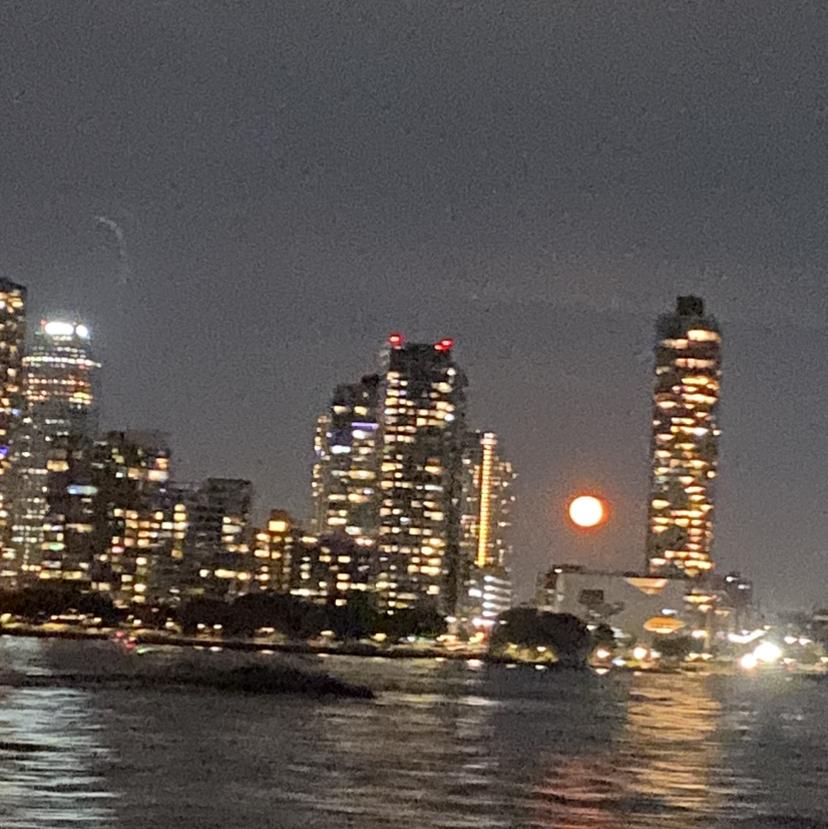 Drive Rite 's Post|Lemon8