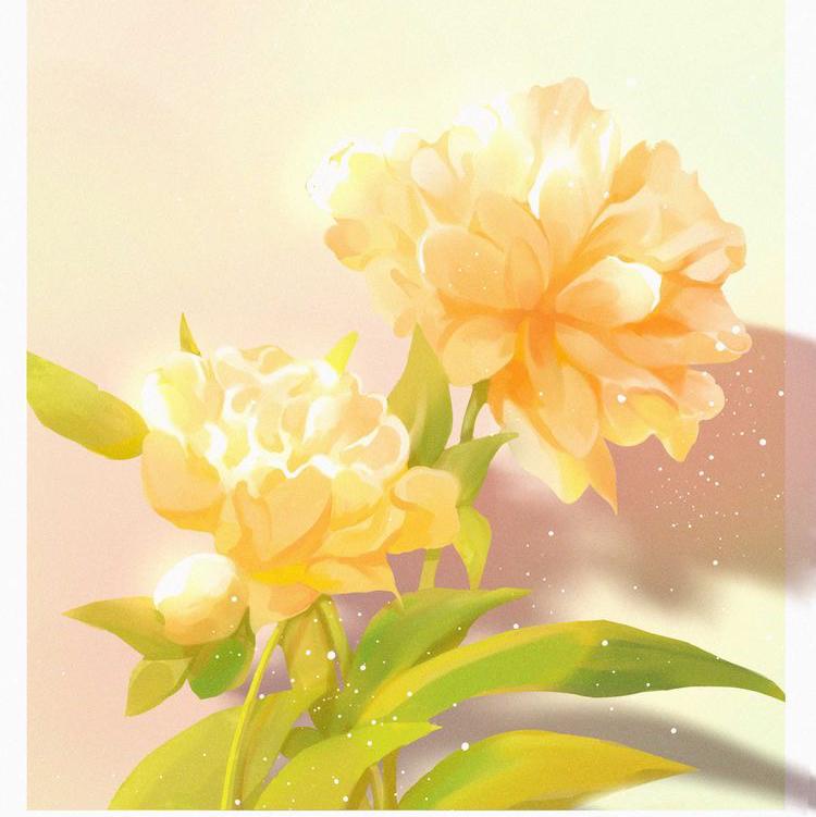 아야나(ayana)'s Post|Lemon8