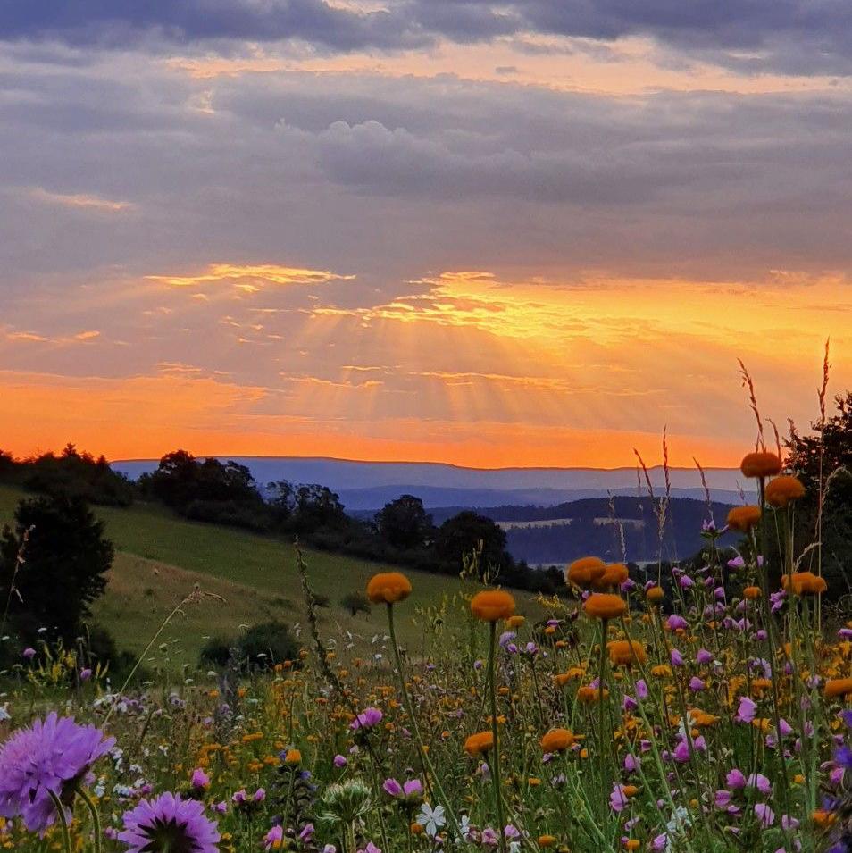 delaney 's Post|Lemon8