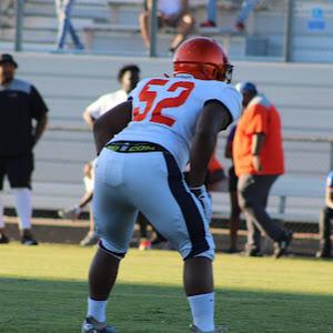 Terry Dalton's Post|Lemon8