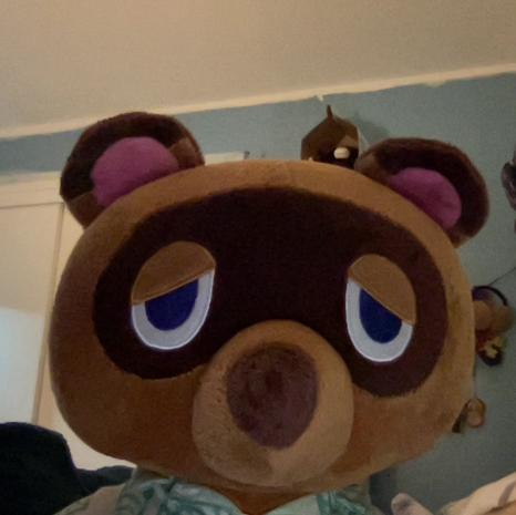 Tom Nook's Post|Lemon8