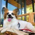 Conoo's Post|Lemon8