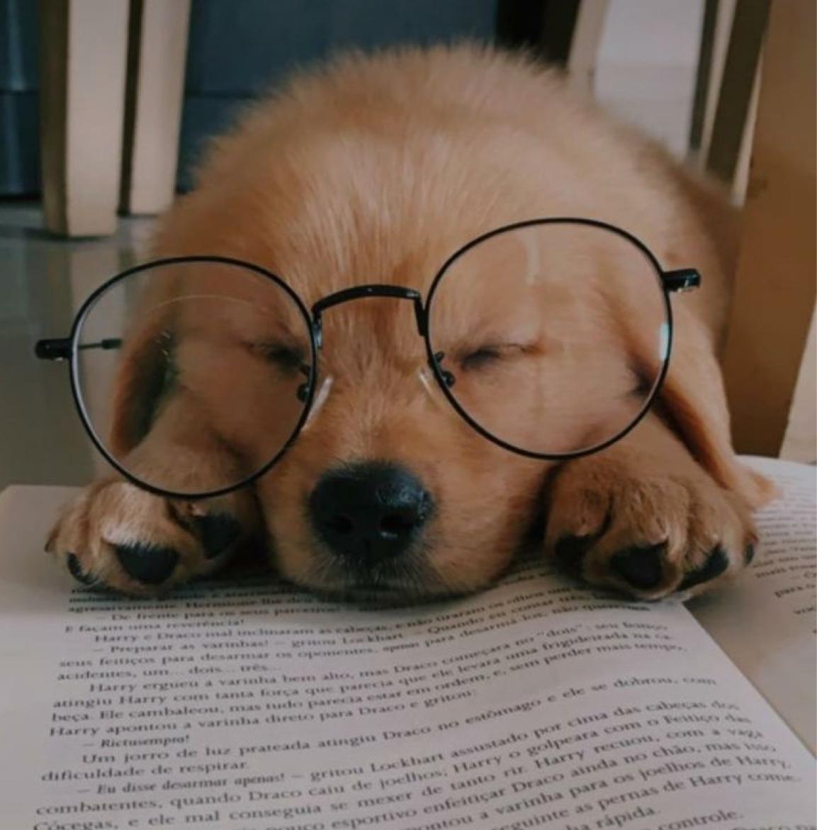 bubble's Post|Lemon8