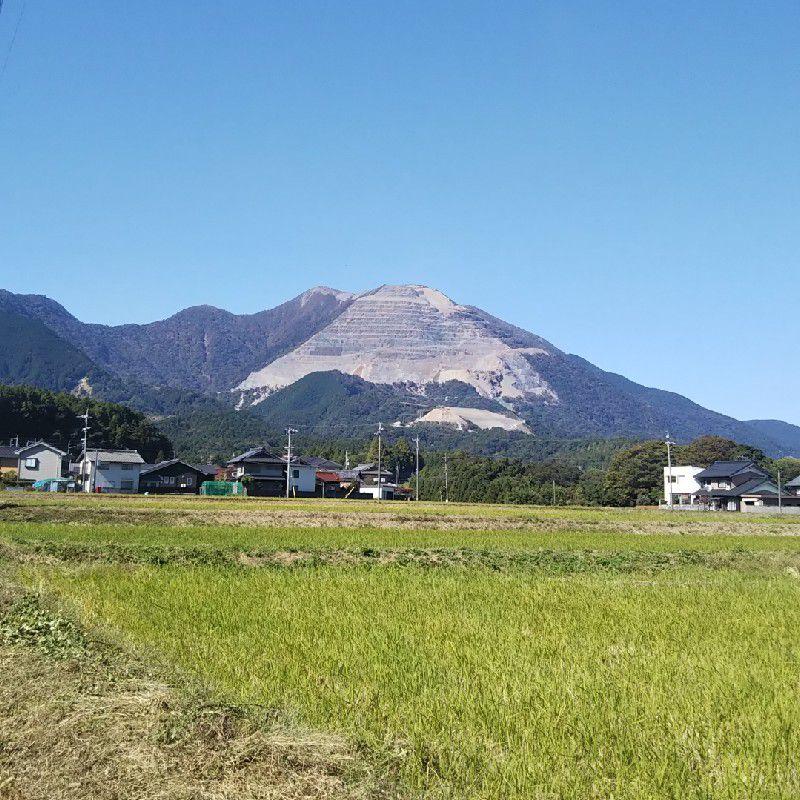 畑中みえさんの投稿|Lemon8