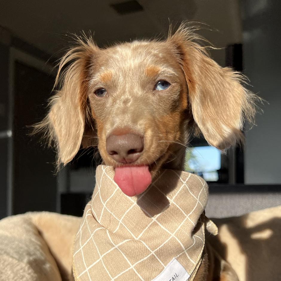 Phoebe's Post|Lemon8