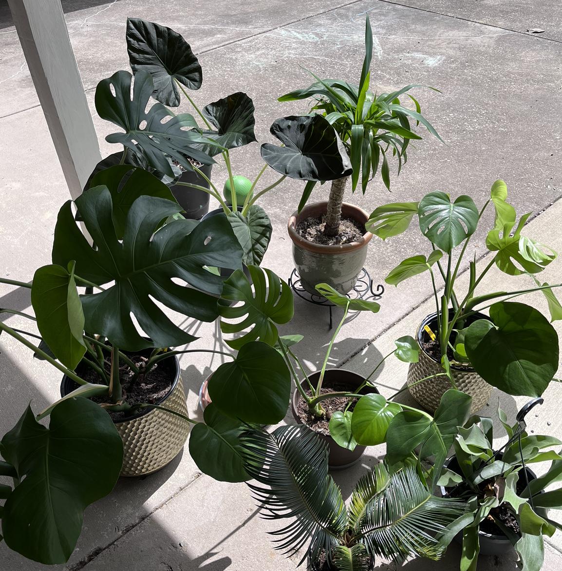 Destiny's Post|Lemon8