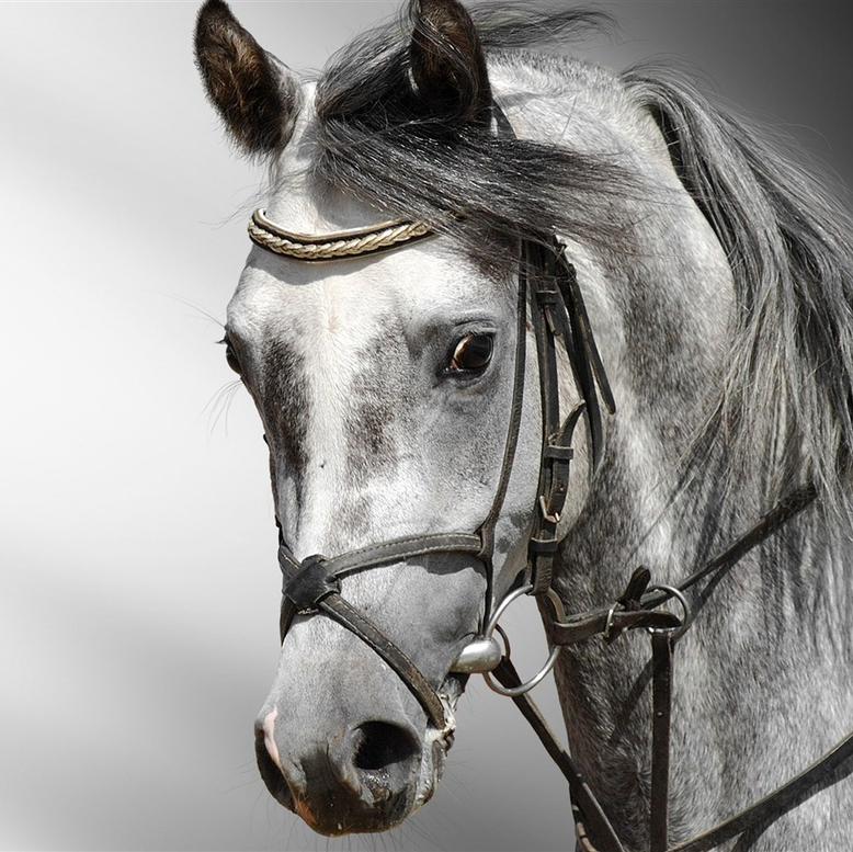 Harry.K's Post|Lemon8