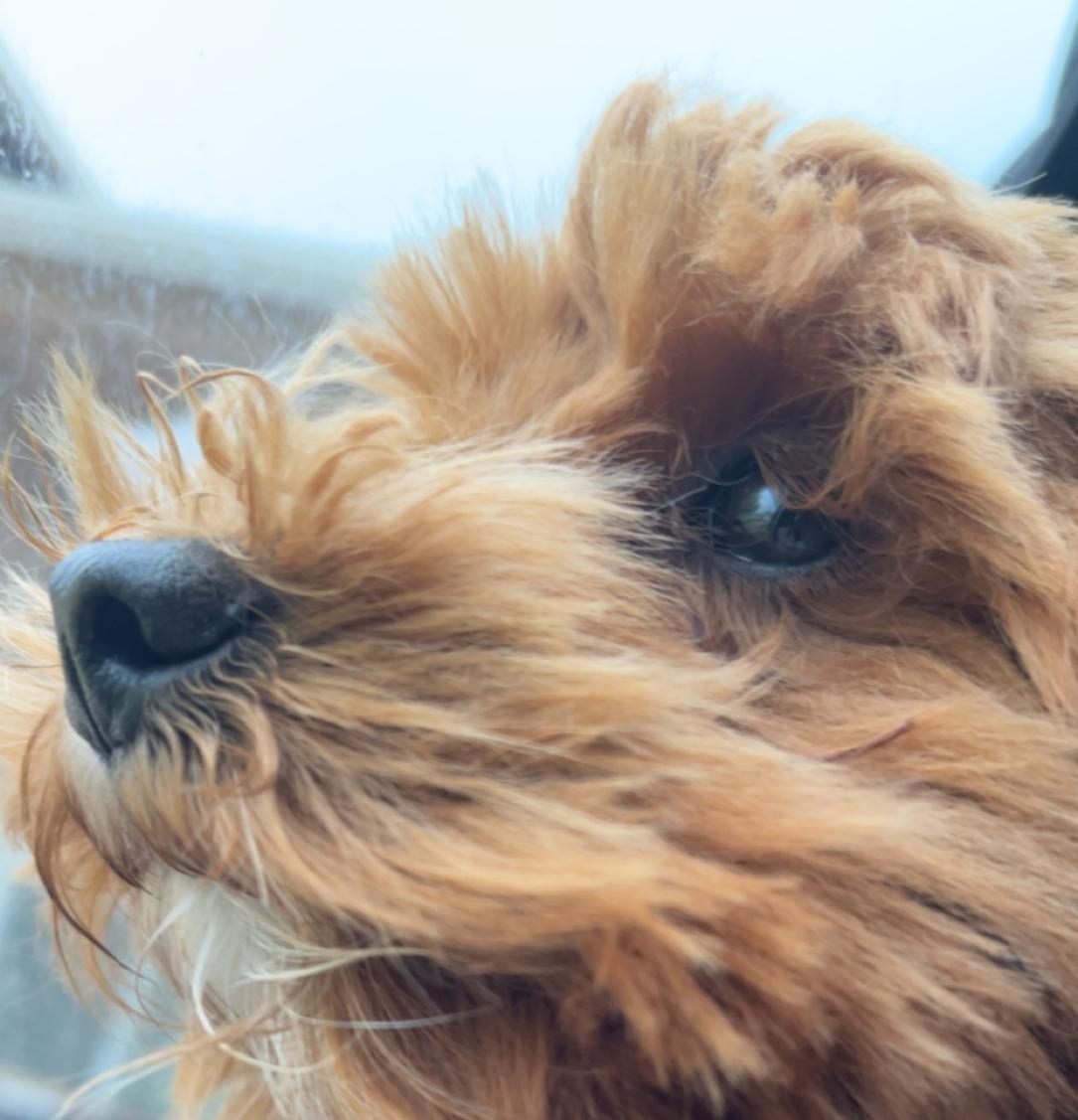 Chloee_coco's Post|Lemon8