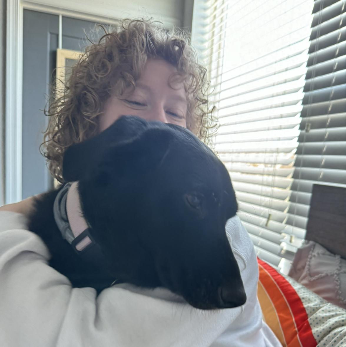 alison 🐾's Post|Lemon8