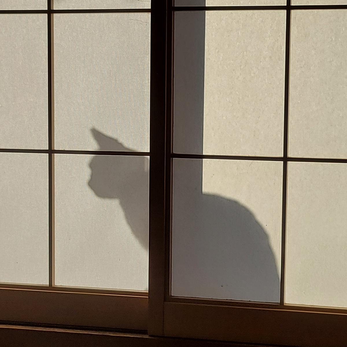 Cozyさんの投稿 Lemon8