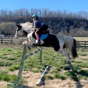 Ash Hanson's Post|Lemon8