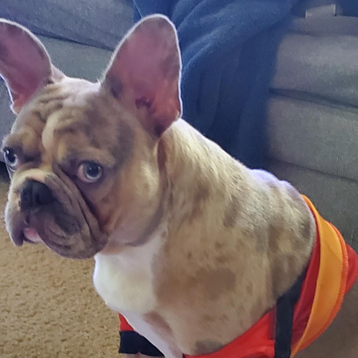 active_mom's Post|Lemon8