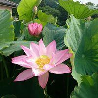 坂田kyokoさんの投稿|Lemon8