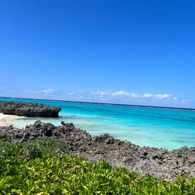 M.Sakamotoさんの投稿|Lemon8