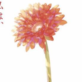 Irisさんの投稿|Lemon8