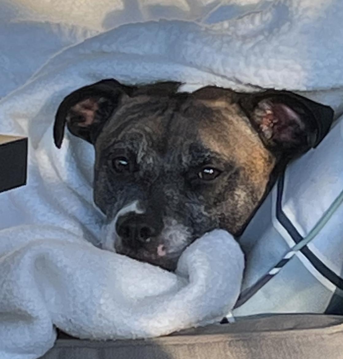 Michelle OLeary's Post|Lemon8