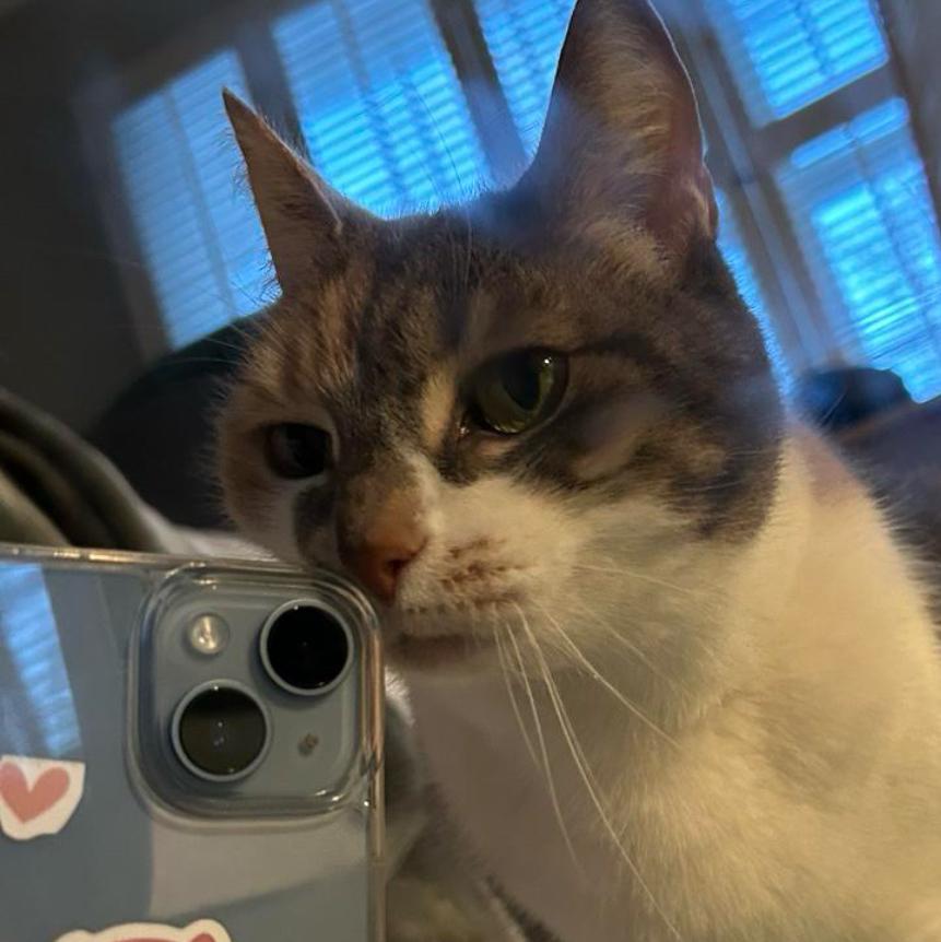 Ellie Mello's Post|Lemon8