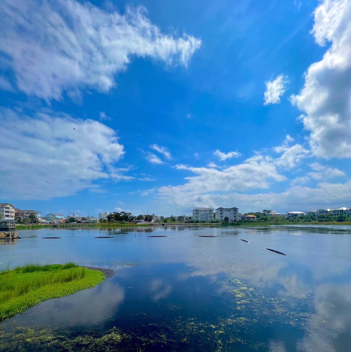 Erika R's Post|Lemon8